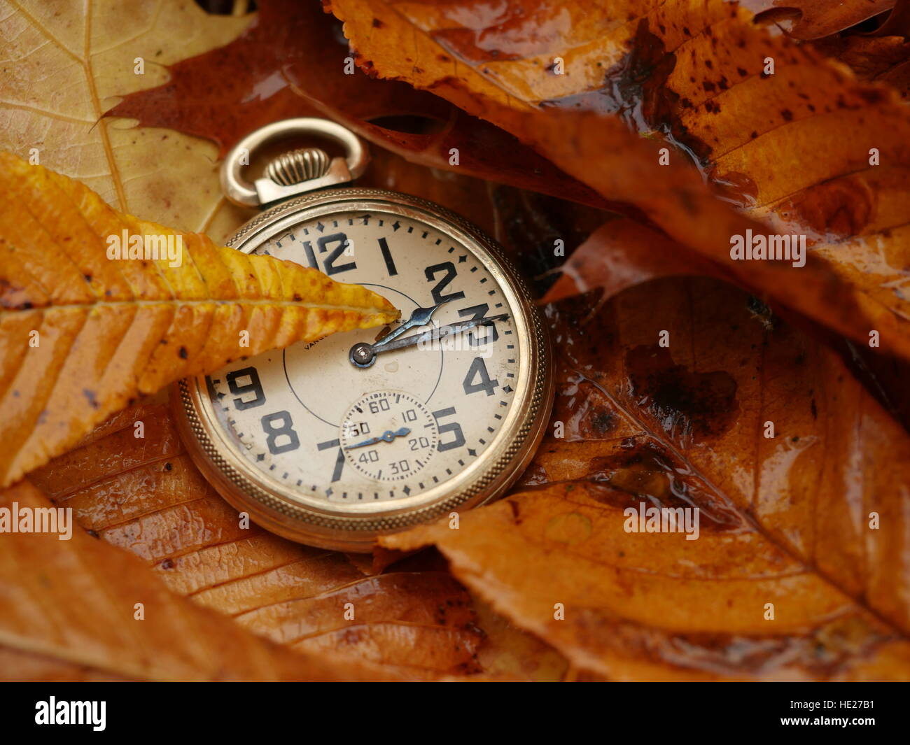 Dst hi-res stock photography and images - Alamy
