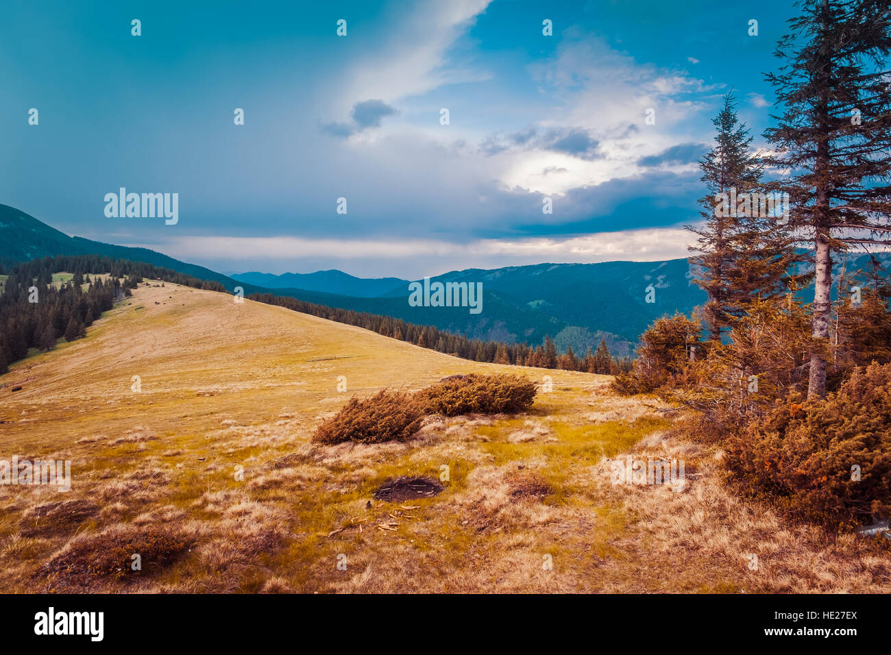 Beautiful landscape scene dry fall hi-res stock photography and images ...