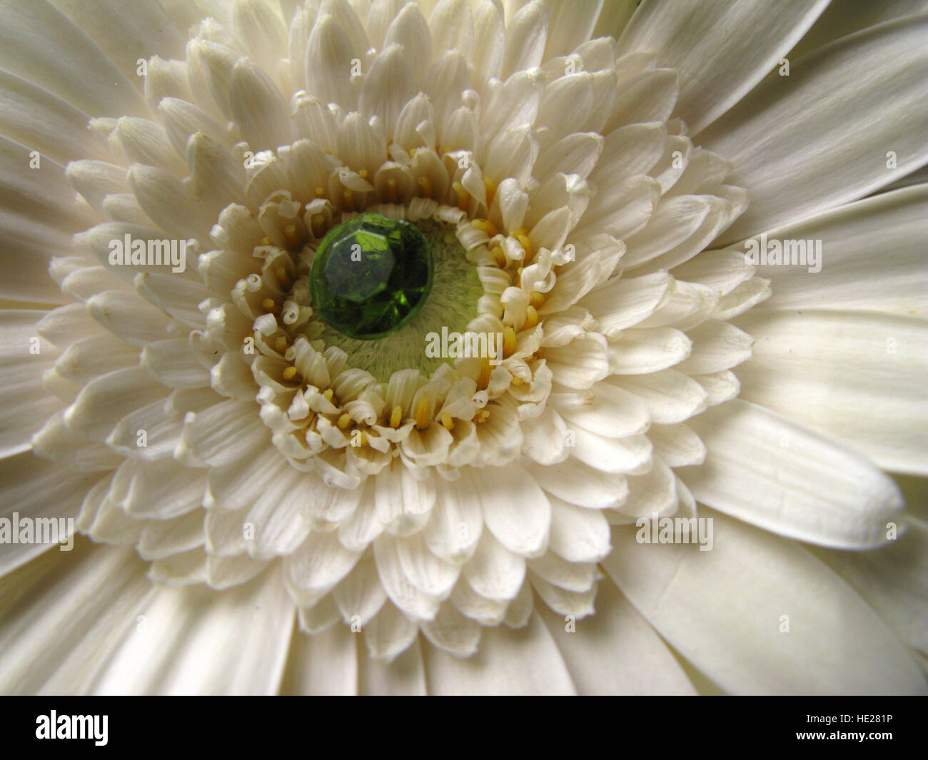 Glass gem centre hi-res stock photography and images - Alamy