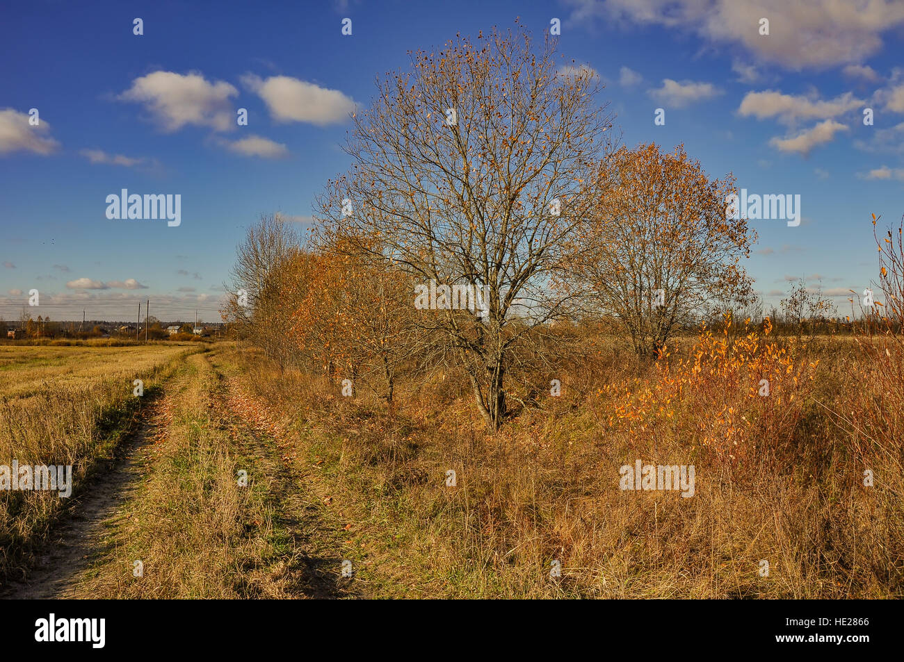 Autumn rural landscape with road Stock Photo - Alamy