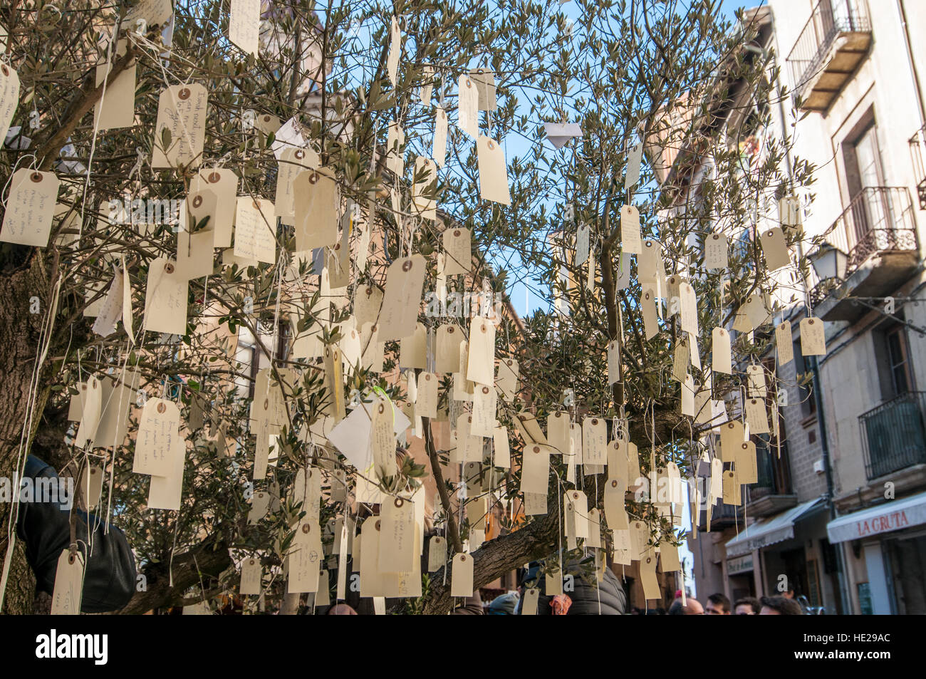 Promise tree hi-res stock photography and images - Alamy