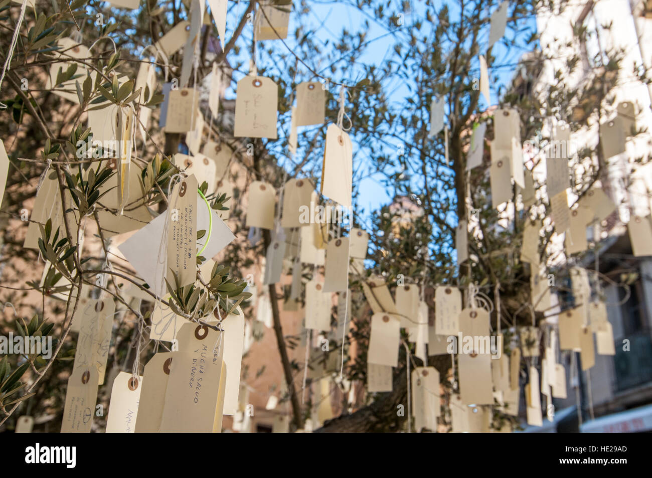 Wish tree hi-res stock photography and images - Alamy