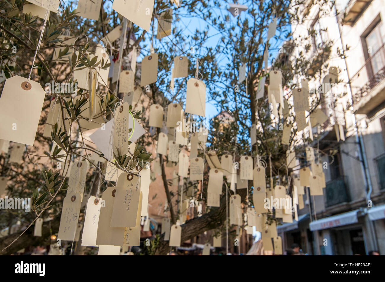 Wish tree hi-res stock photography and images - Alamy