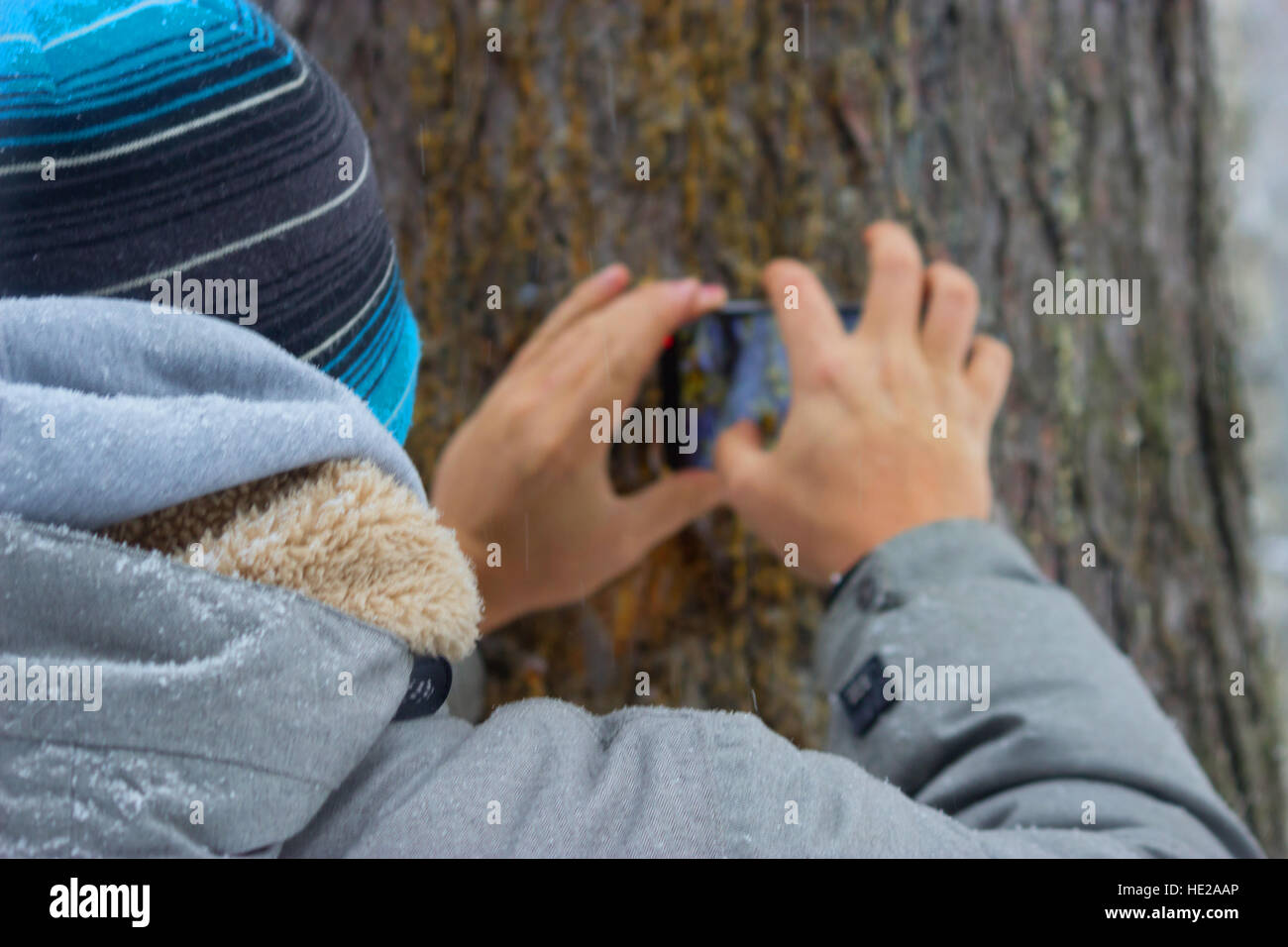man shooting tree bark with his mobile phone Stock Photo - Alamy