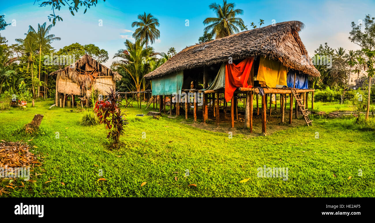 Photo of simple houses made of straw and wood in Avatip, Sepik river in ...