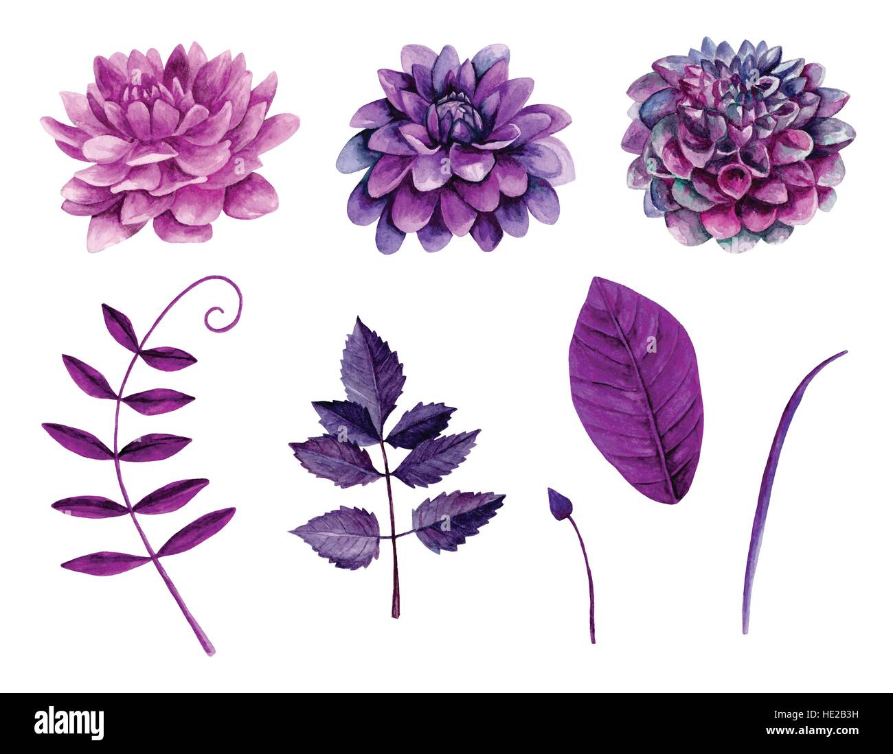 Purple flowers Stock Vector Images - Alamy