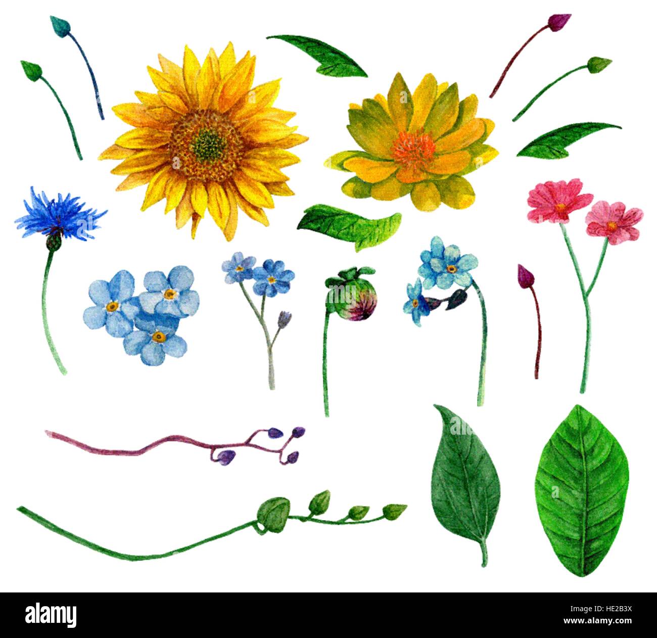 Rustic flowers vector clipart. Watercolor country floral Stock Vector ...