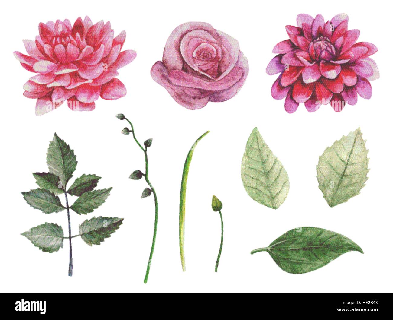 Boho flowers. Botanical vector clip art. Watercolor retro floral Stock ...