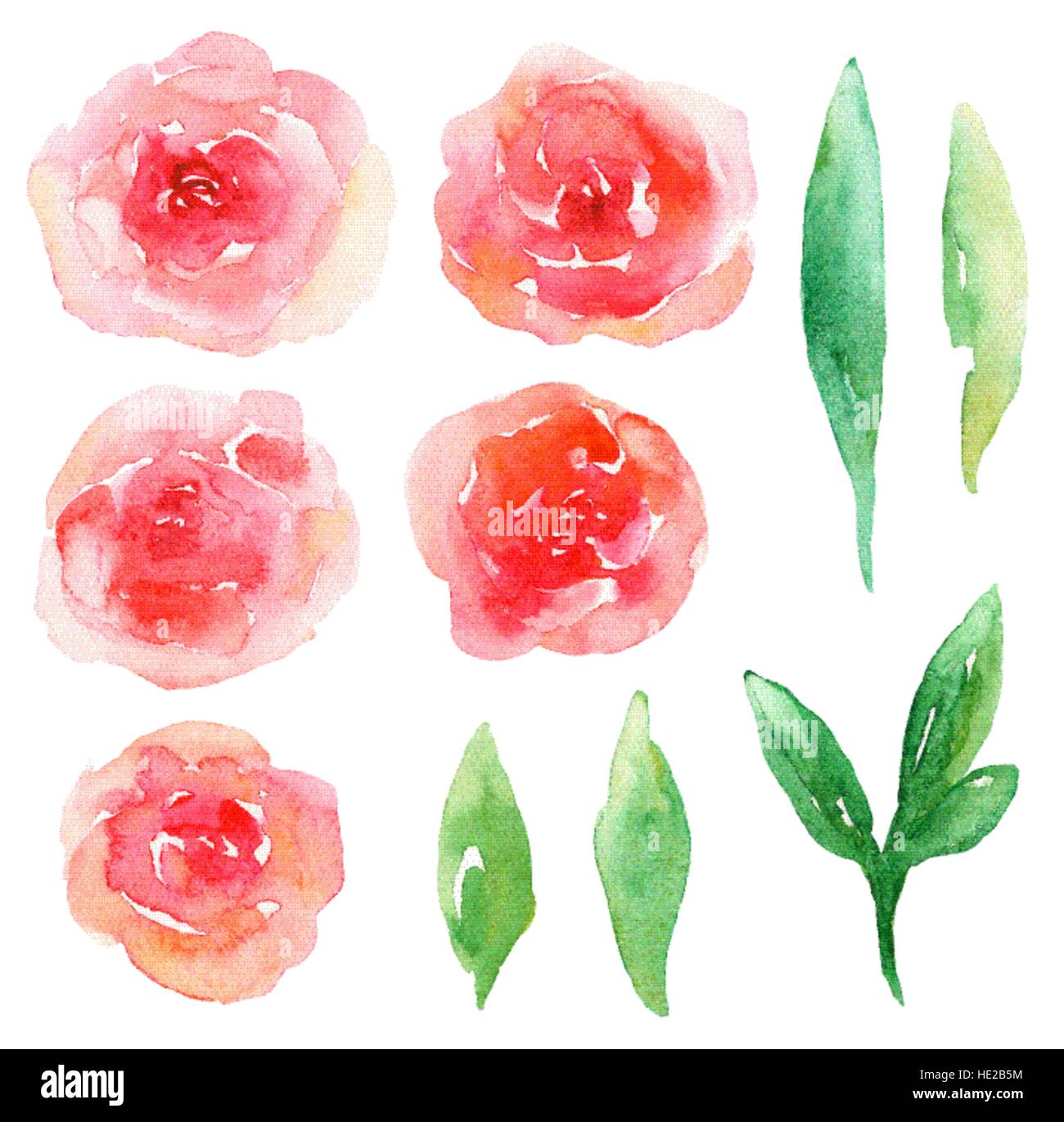 Coral wedding flowers Stock Vector Images - Alamy