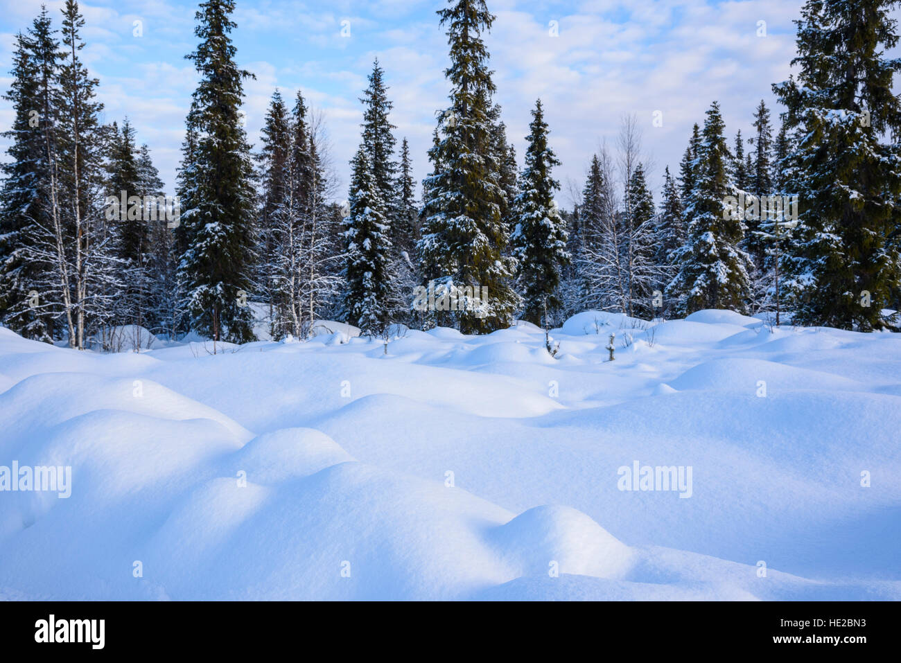 Winter snow in Slussfors, Sweden Stock Photo - Alamy