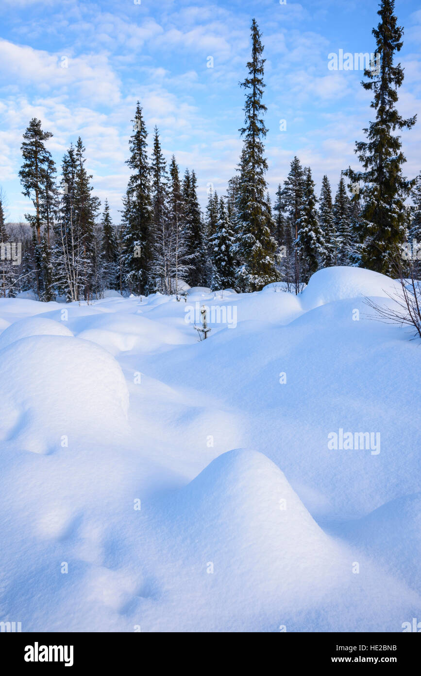 Winter snow in Slussfors, Sweden Stock Photo - Alamy