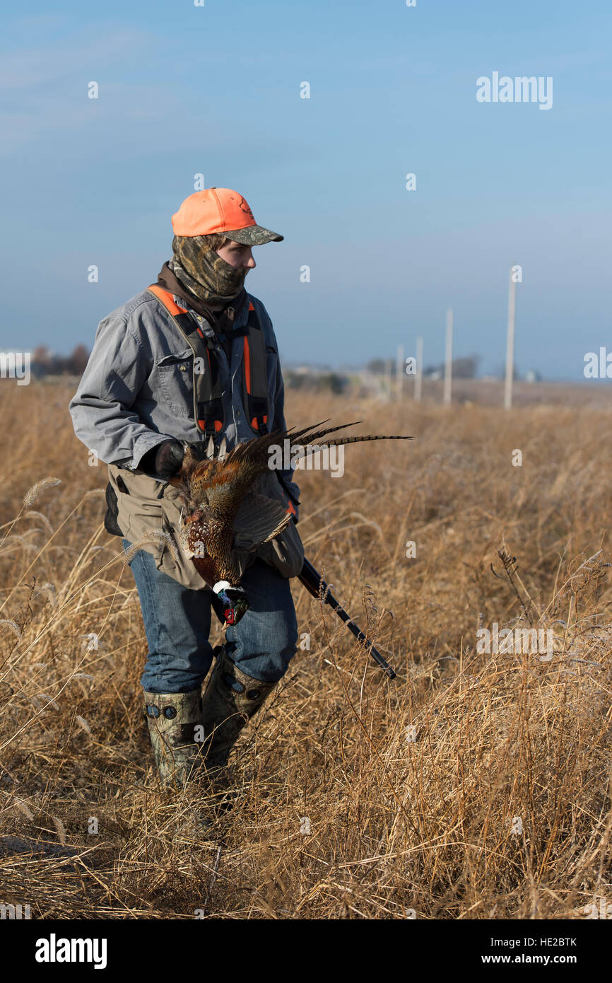 A pheasant hunter with a Rooster Pheasant Stock Photo - Alamy