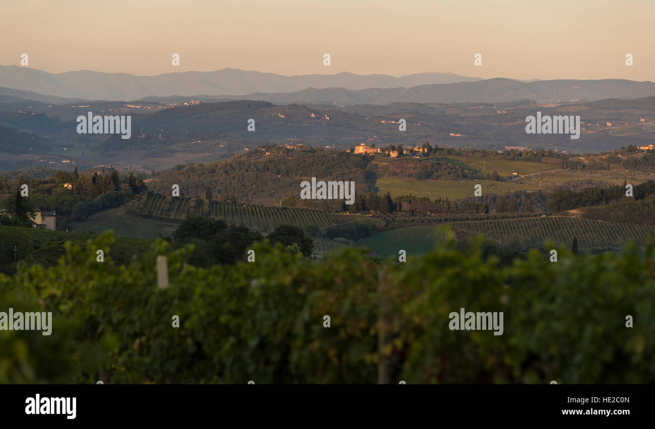Tuscan agricultural land around San Gimignano, Tuscany, Italy Stock ...