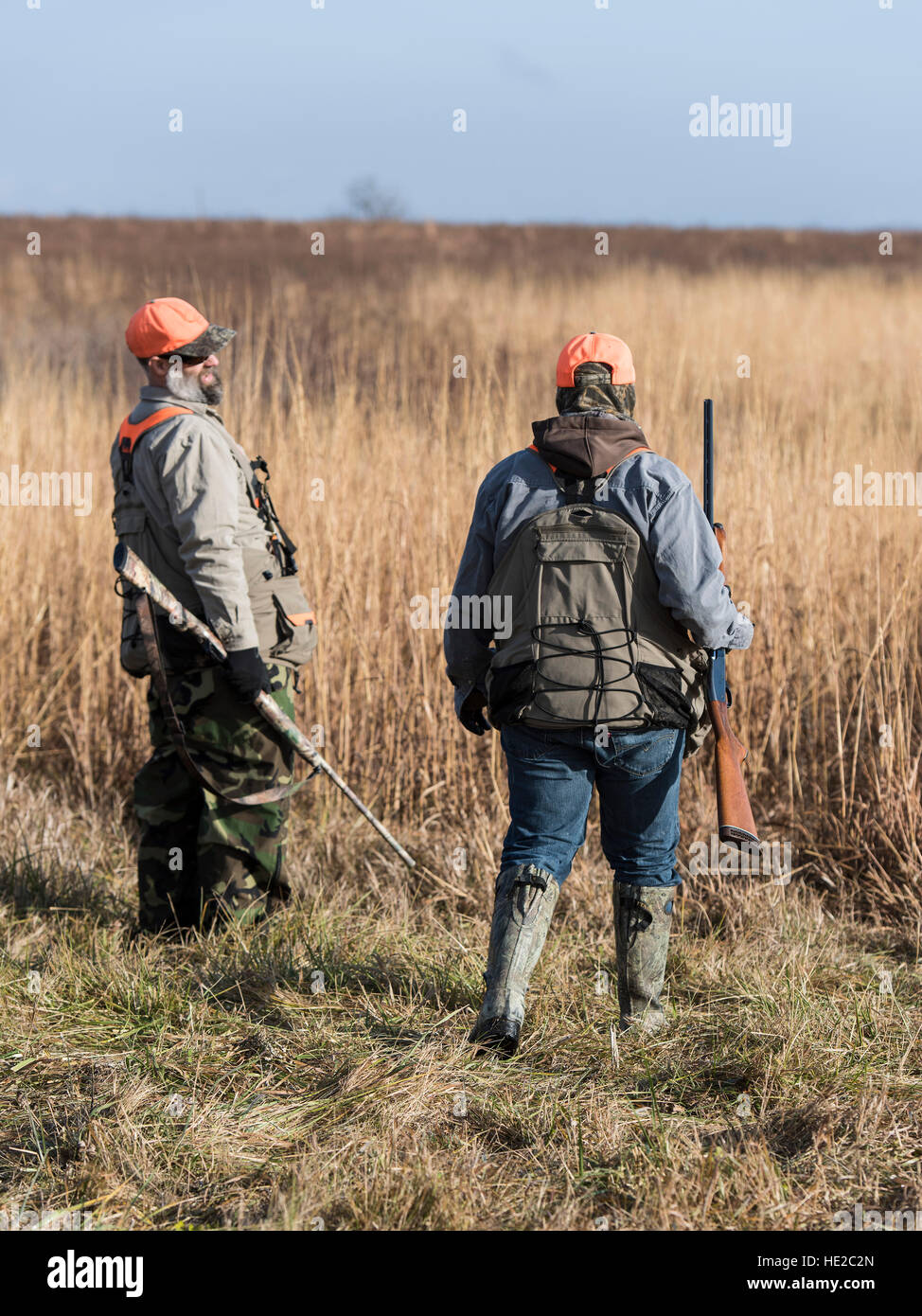 Father and son Quail hunting in Kansas Stock Photo - Alamy