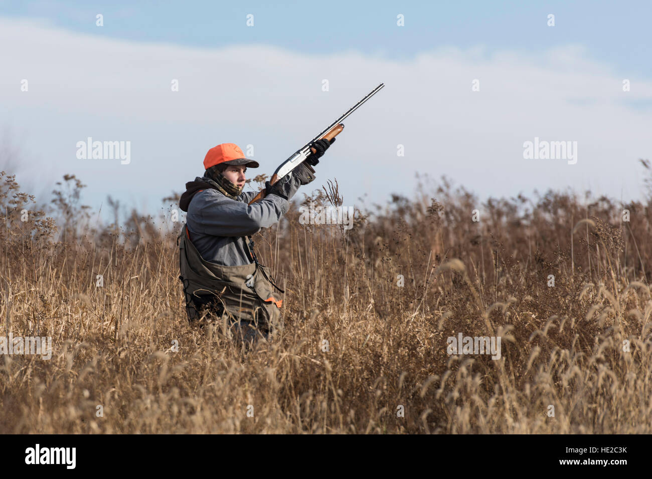 A young Pheasant hunter Stock Photo - Alamy