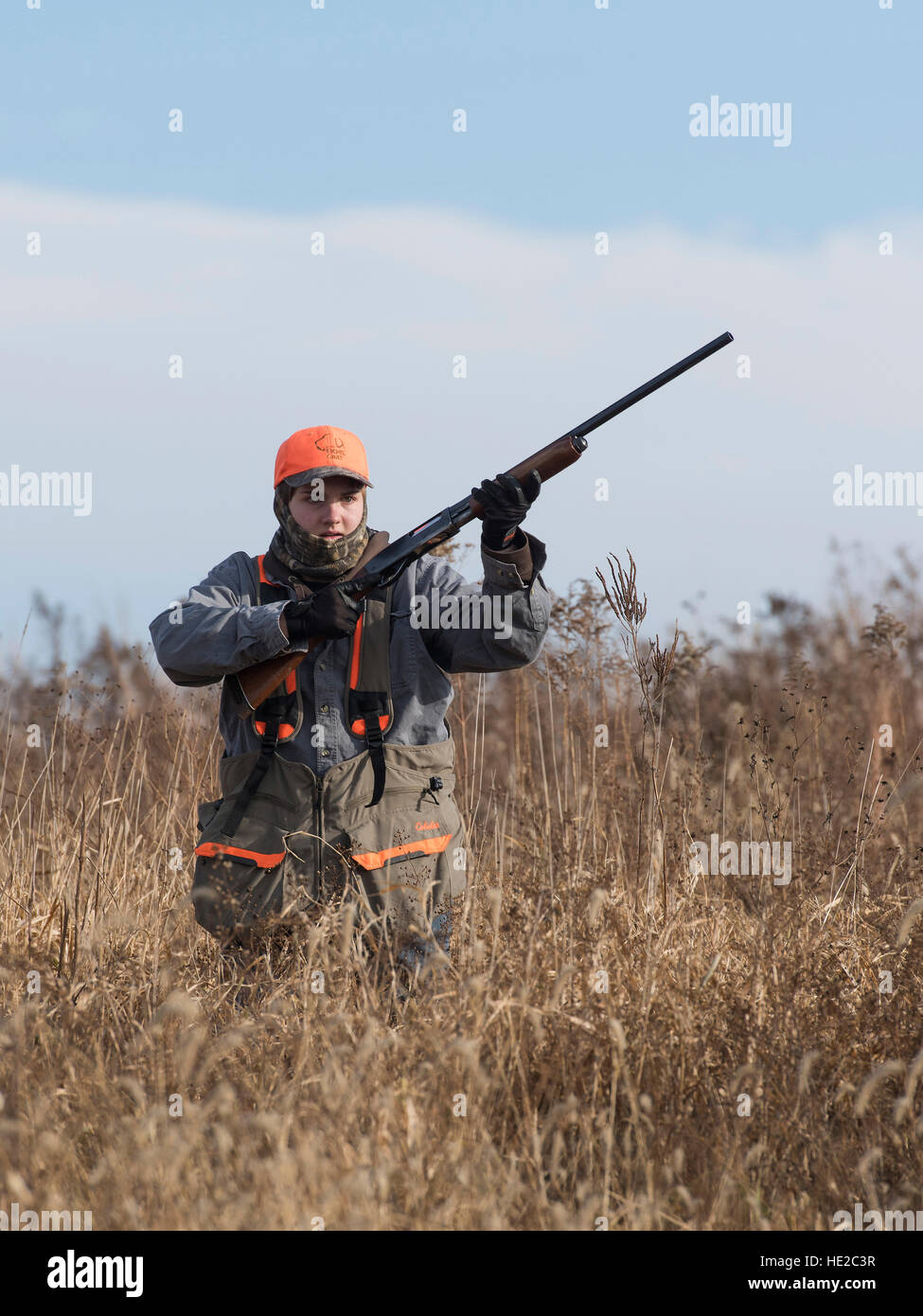 A young Pheasant hunter Stock Photo - Alamy