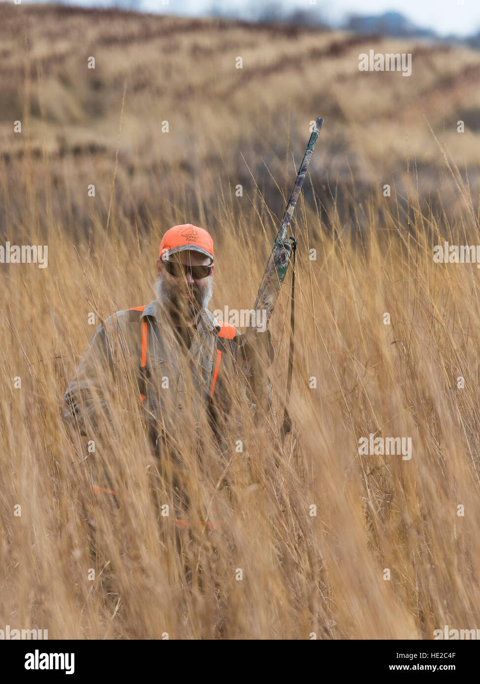 A bird hunter on a nice autumn day Stock Photo - Alamy