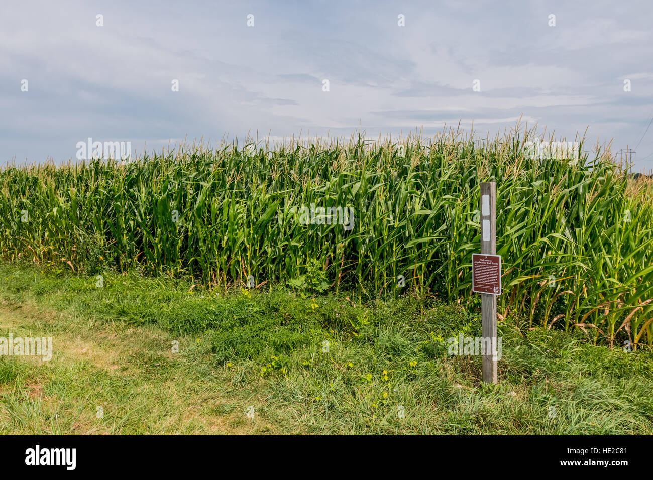 Appalachian Trail Double Blaze at Corn Field Edge Stock Photo - Alamy