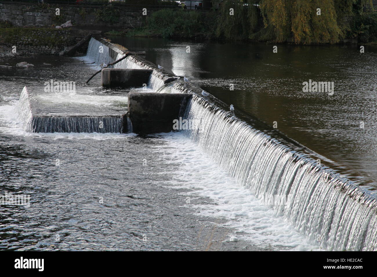River Kent in Kendal, Cumbria, UK Stock Photo - Alamy