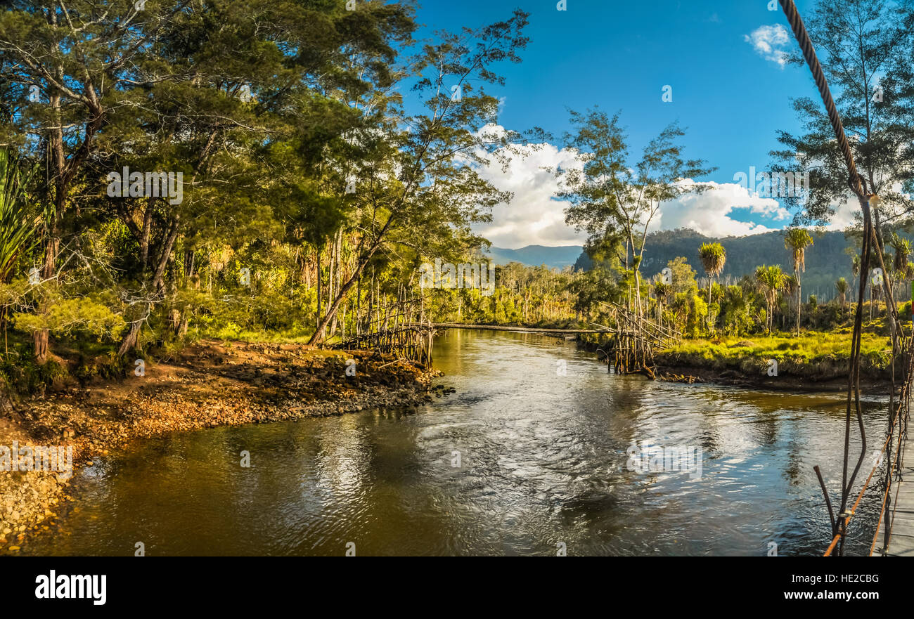 Wooden bridge on river in rich greenery in Trikora, Papua, Indonesia ...
