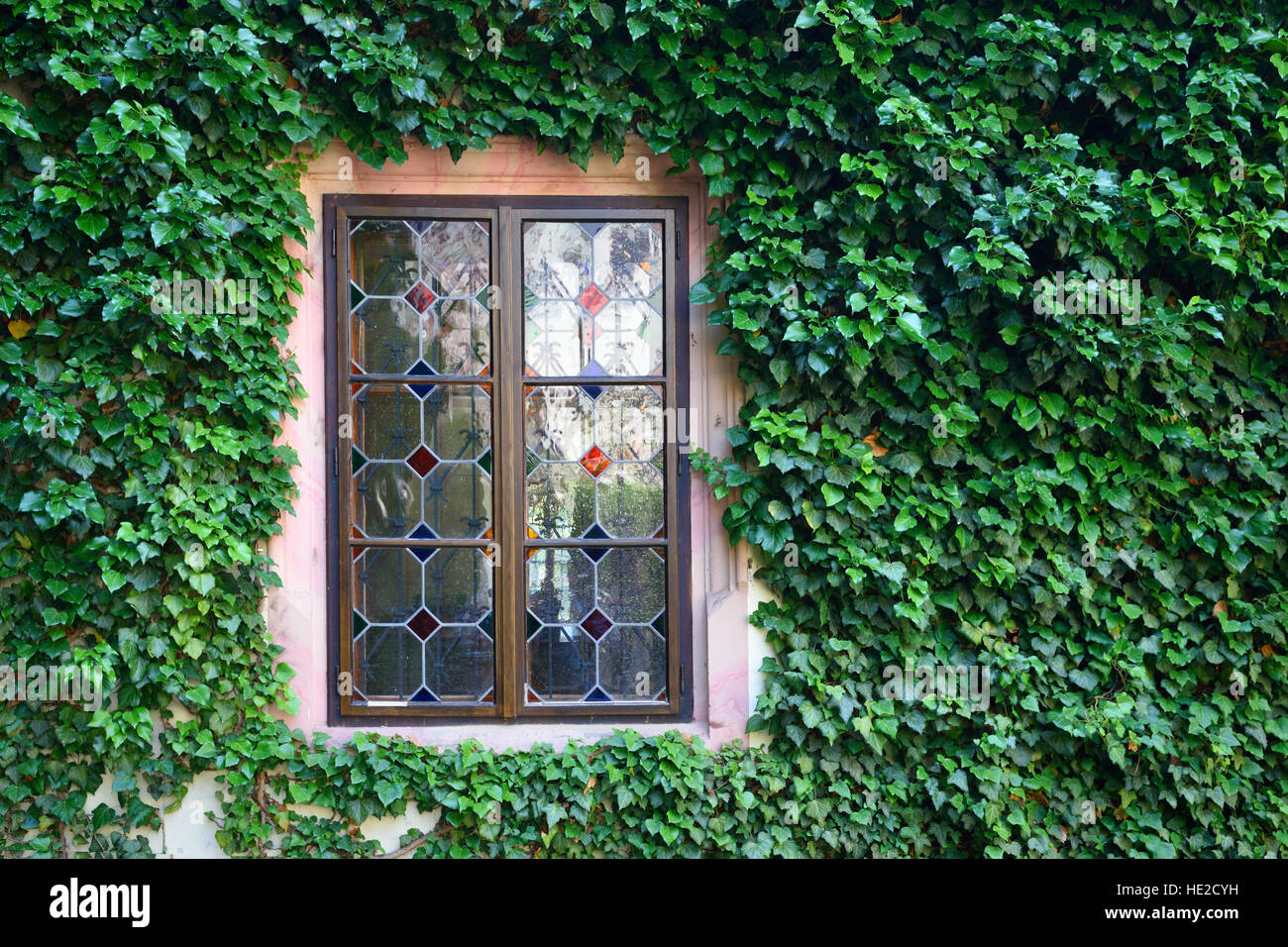 Gothic building overgrown ivy old hi-res stock photography and images ...