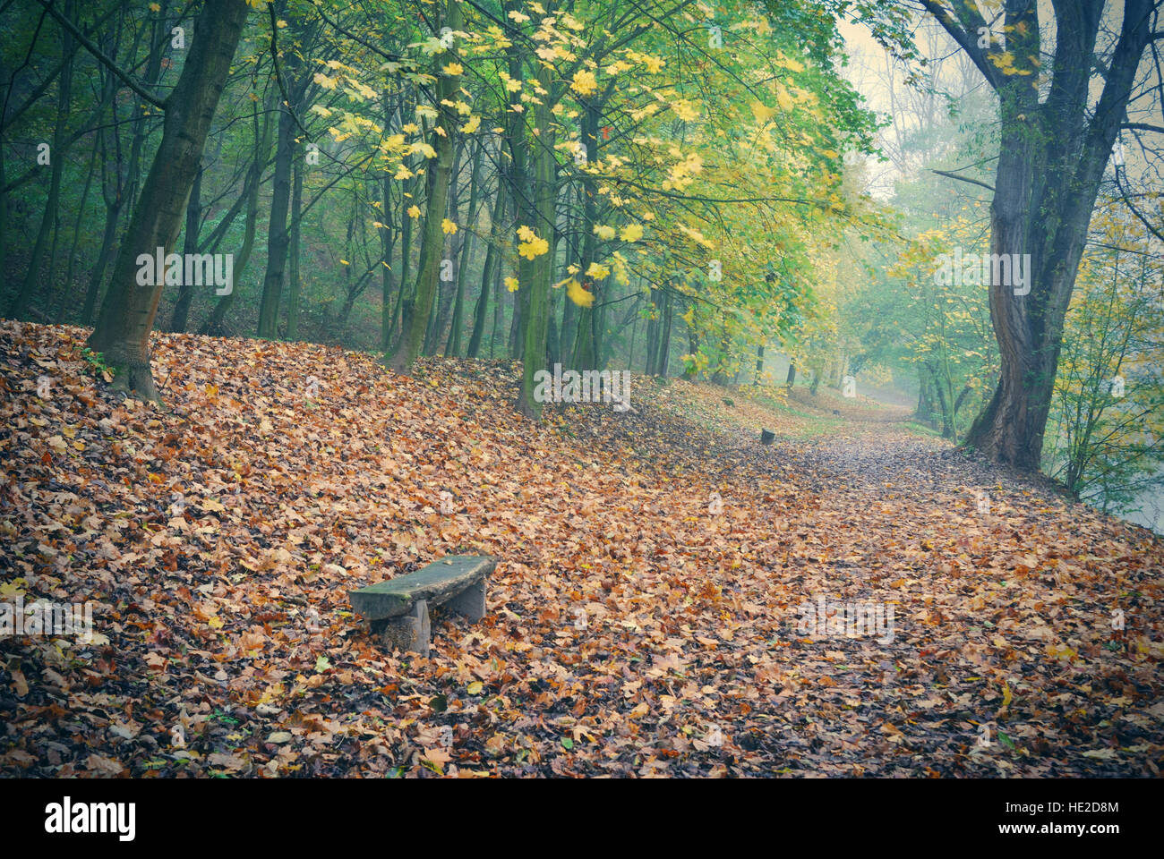 Autumn path vignette hi-res stock photography and images - Alamy
