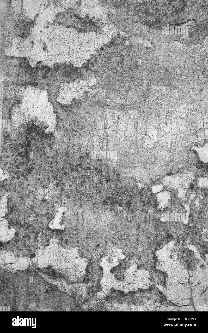 Old weathered wall texture in black and white color Stock Photo - Alamy
