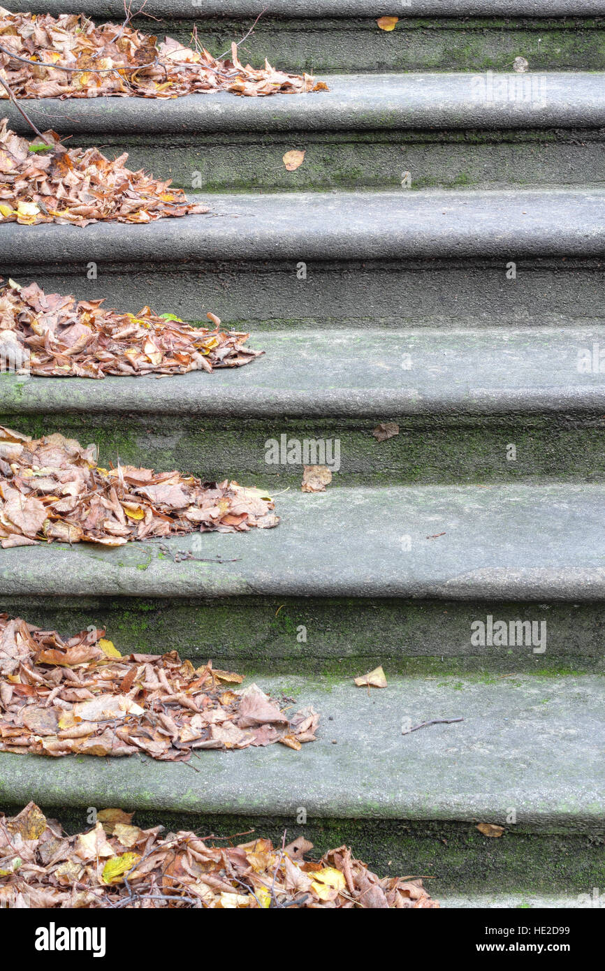 Wind blown structure hi-res stock photography and images - Alamy