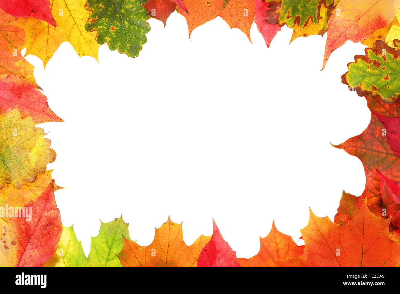 Frame composed of colorful autumn leaves Stock Photo - Alamy