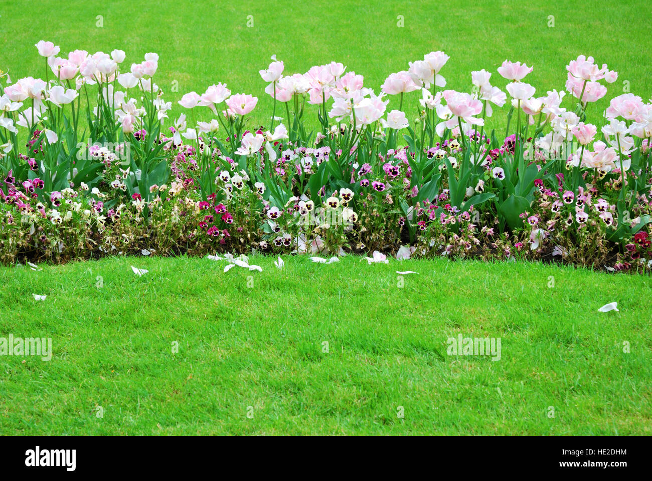 Realistic hedge hi-res stock photography and images - Alamy