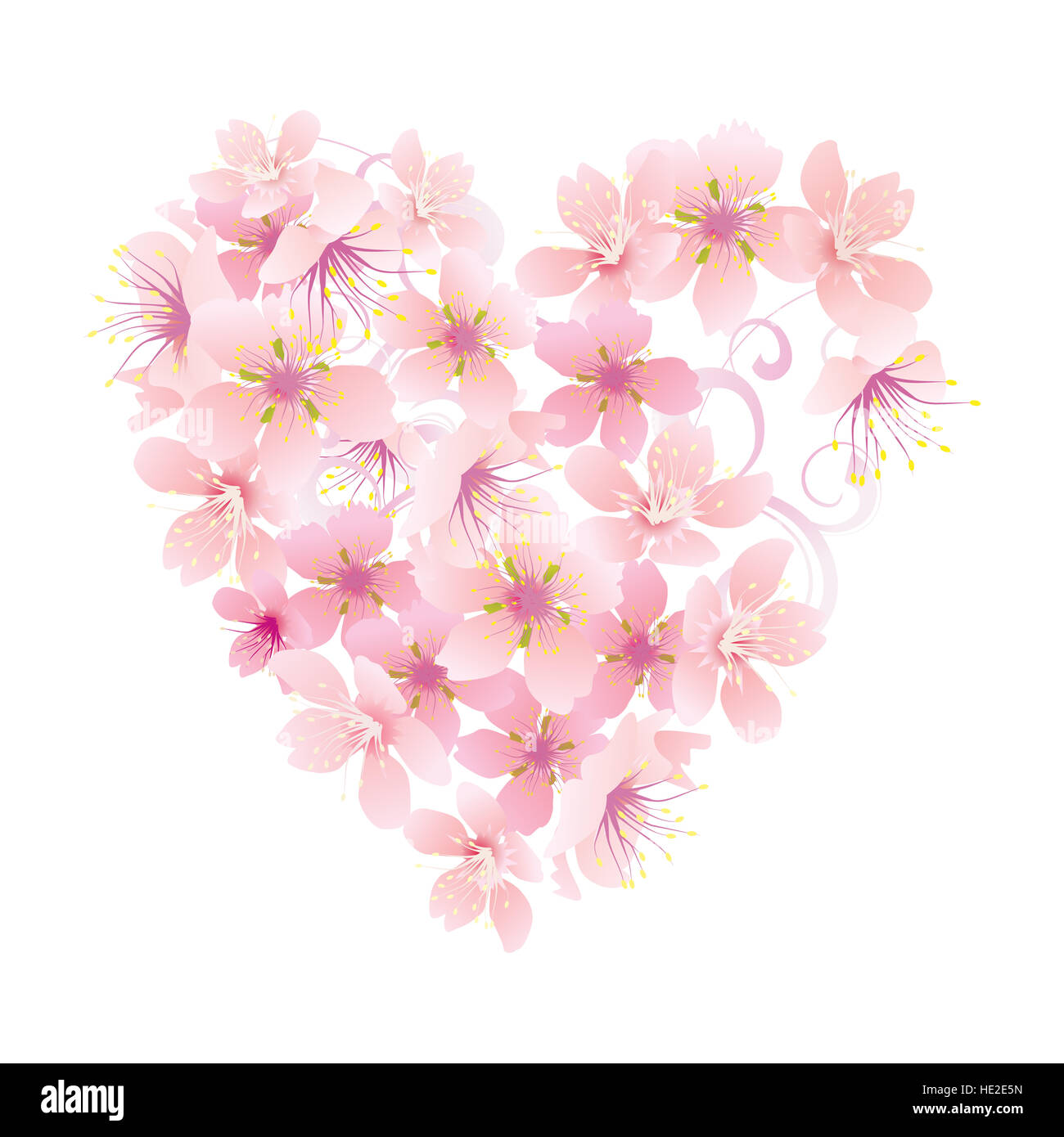 vector pink flowers heart isolated on white Stock Photo - Alamy