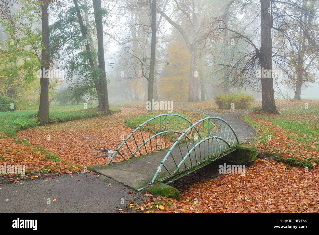 Small forest behind bridge hi-res stock photography and images - Alamy