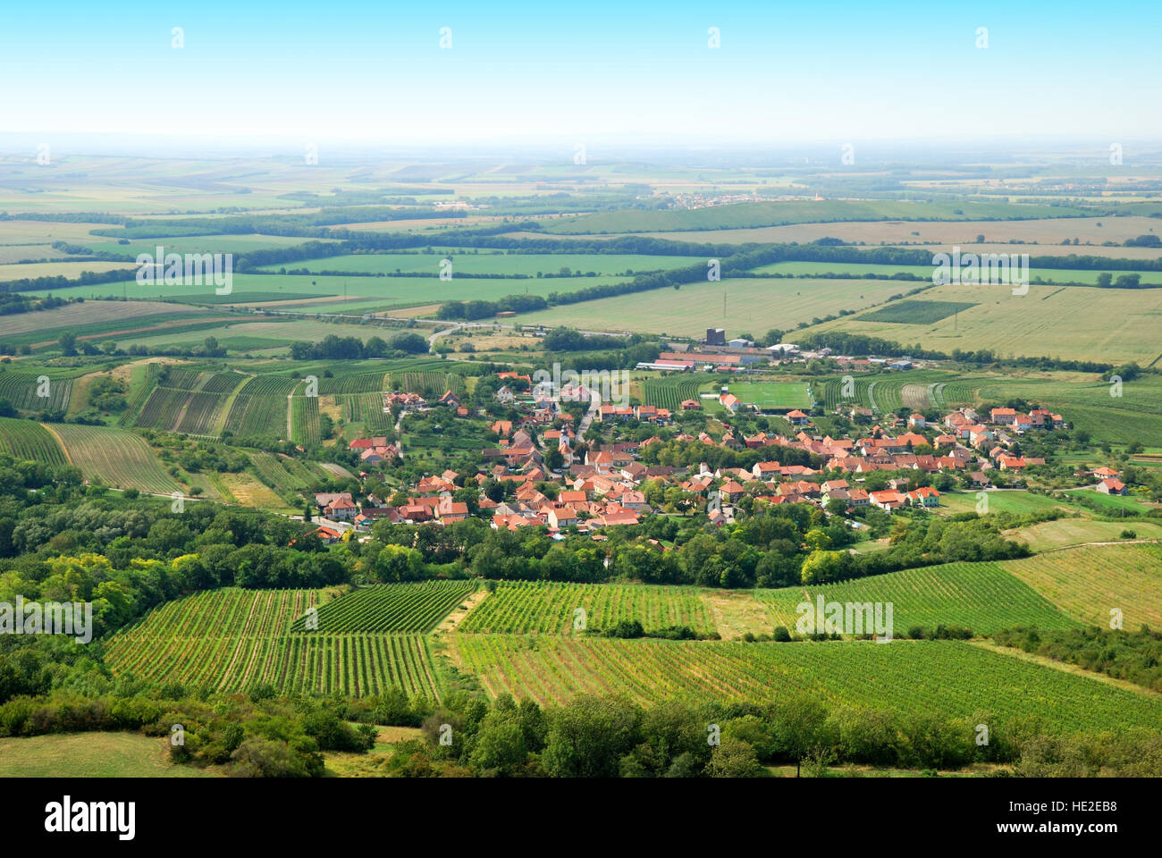 Fertile green vineyards and small village in summer Stock Photo - Alamy