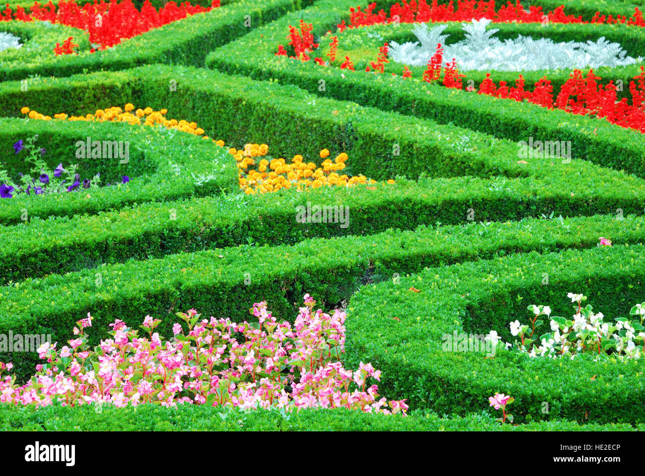 Various colourful flowers and green hedges in springtime Stock Photo ...