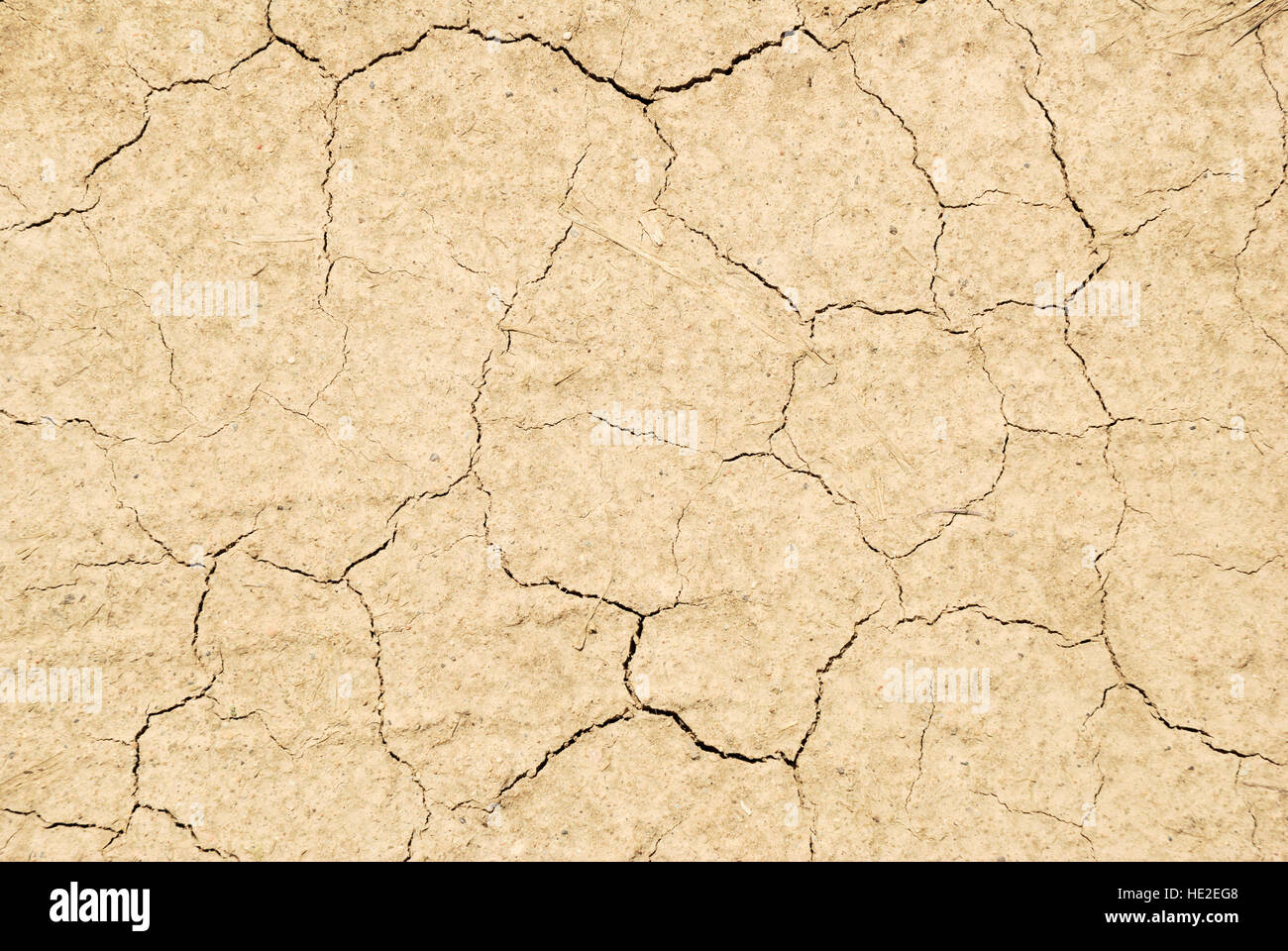 Dry cracked land abstract texture Stock Photo - Alamy