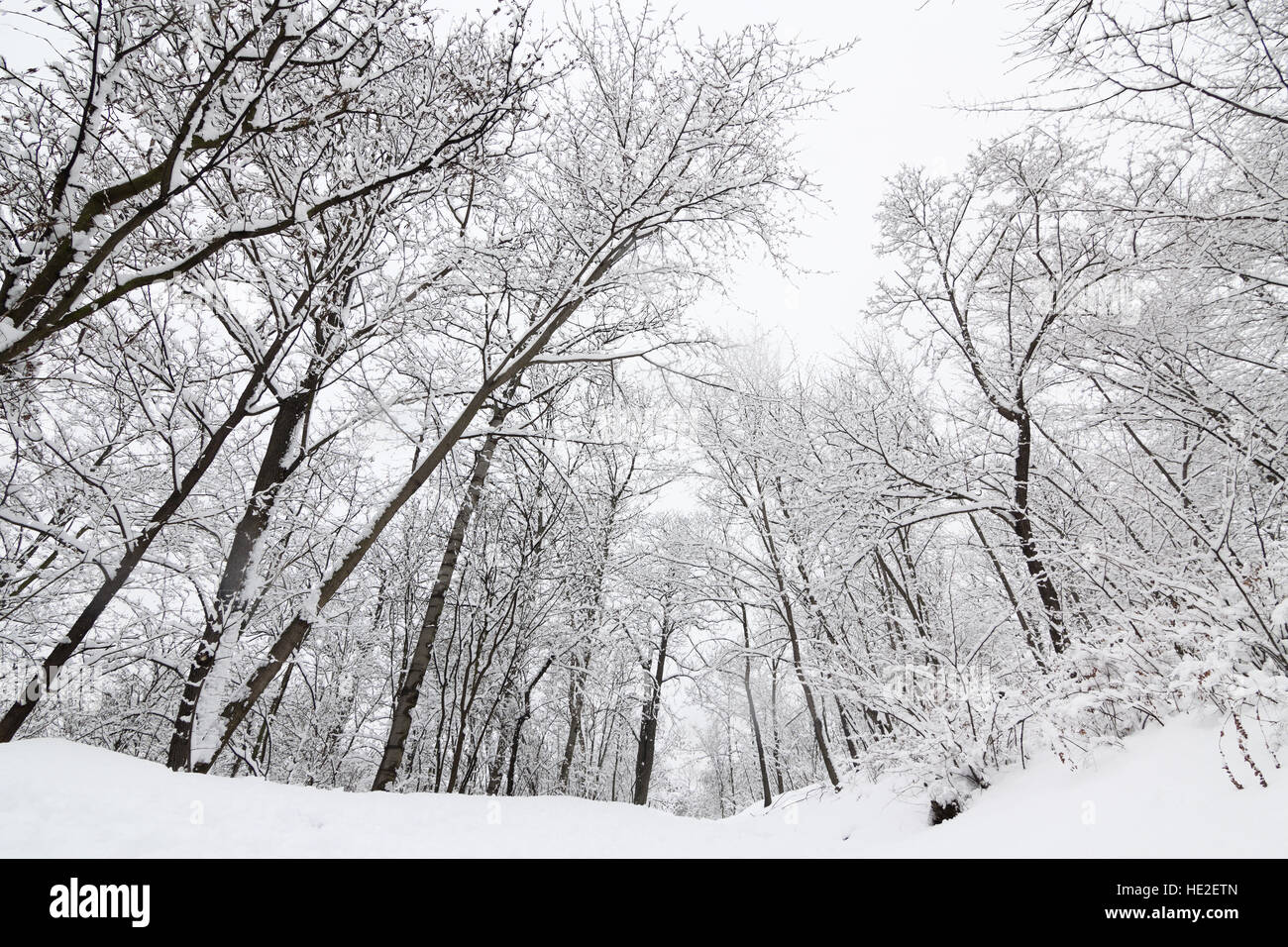 Ultra tall hi-res stock photography and images - Alamy