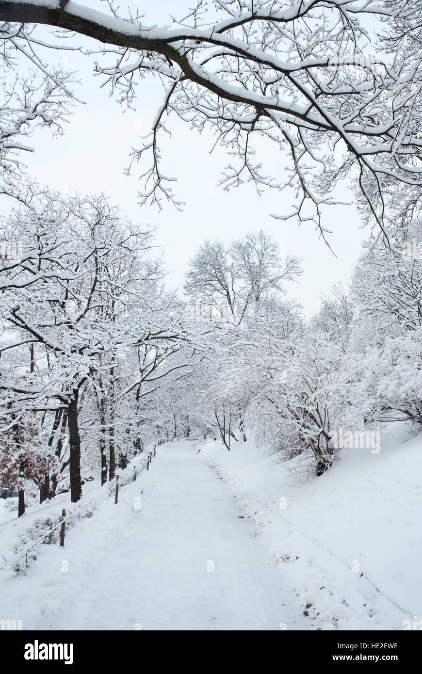 City park path and trees covered by heavy snow Stock Photo - Alamy