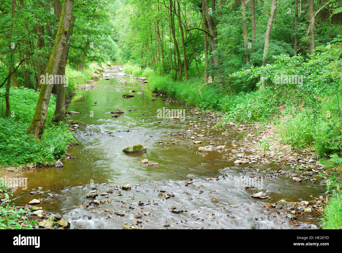 Small River with rocks and green banks and ford Stock Photo - Alamy