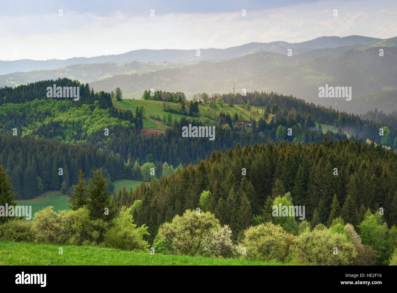 Green highland hills countryside with meadows and forests Stock Photo ...