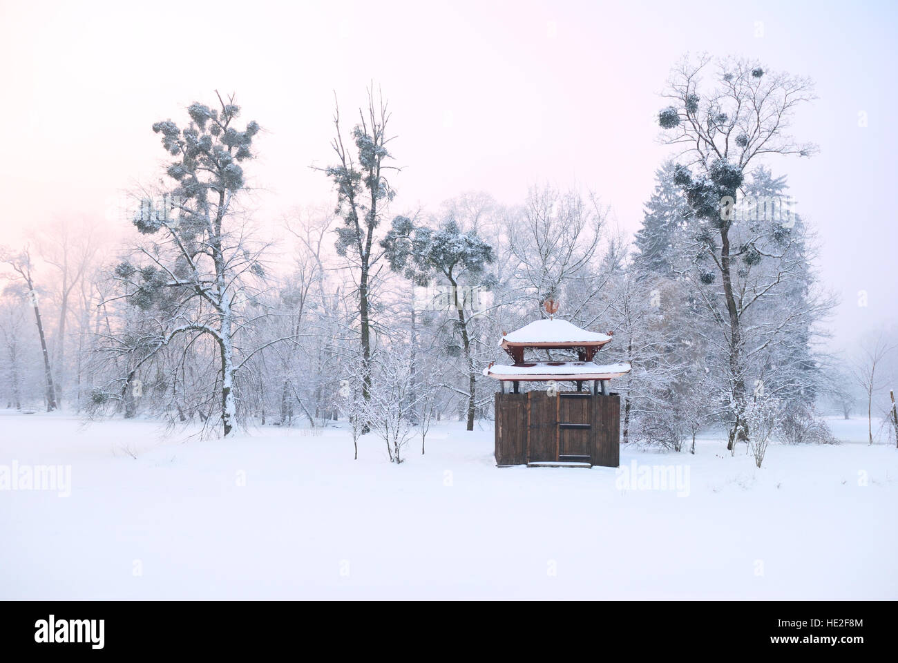 Mistletoe in winter with snow and trees hi-res stock photography and ...