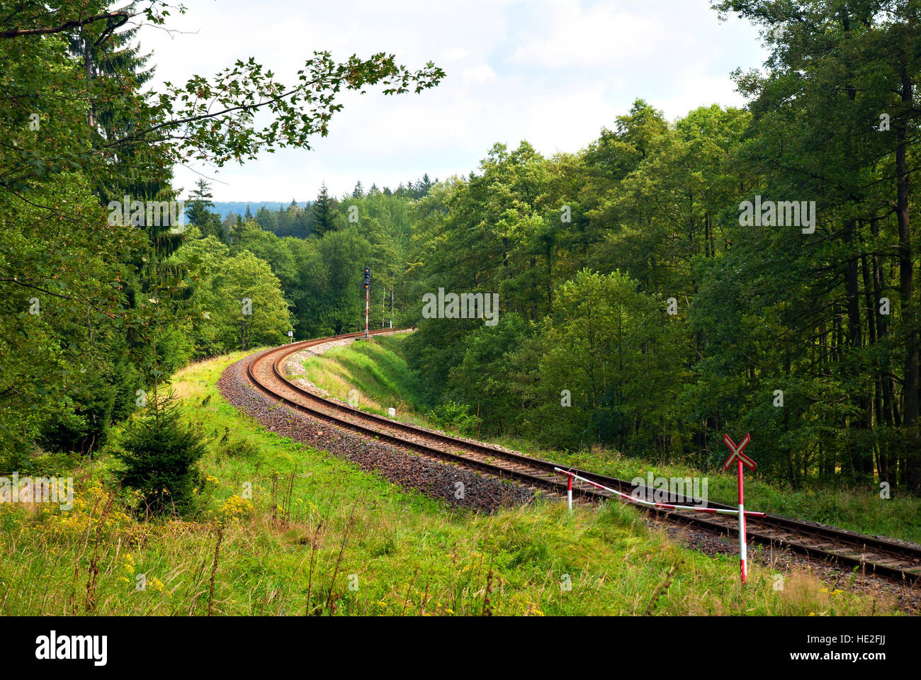Railroad in the Woods Stock Photo - Alamy