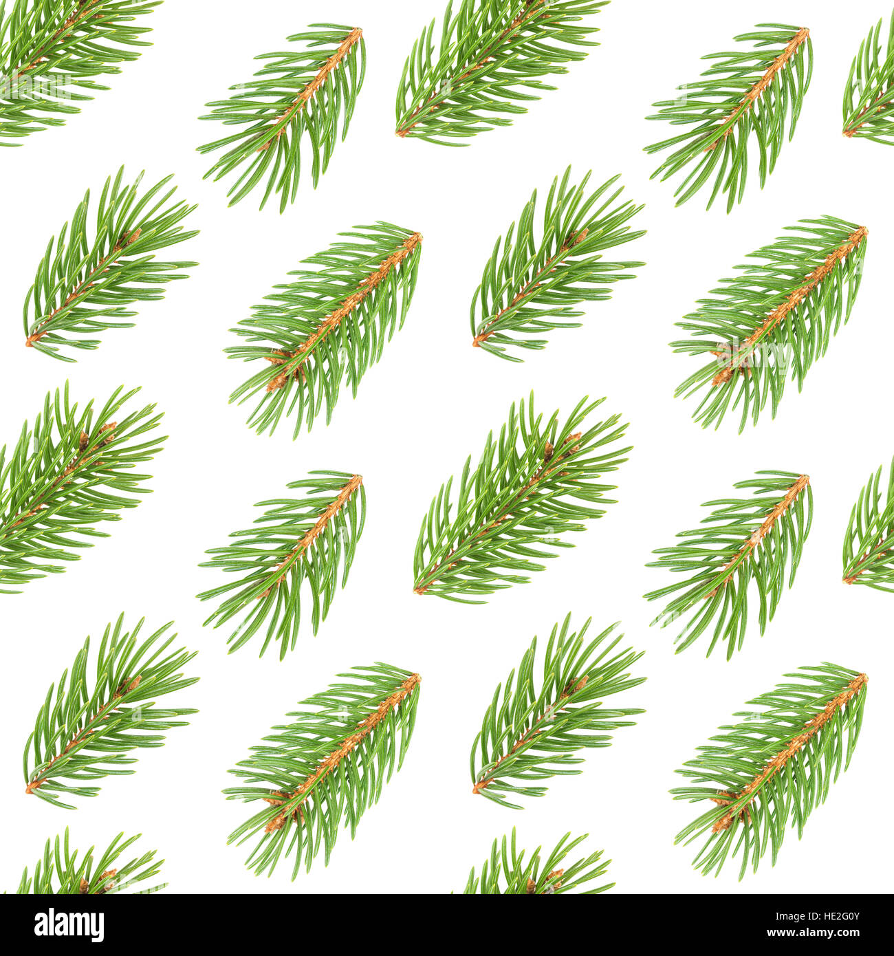Seamless tree pattern hi-res stock photography and images - Alamy