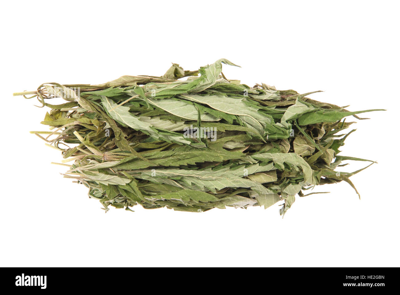 Dried hemp (cannabis) isolated on white background Stock Photo - Alamy