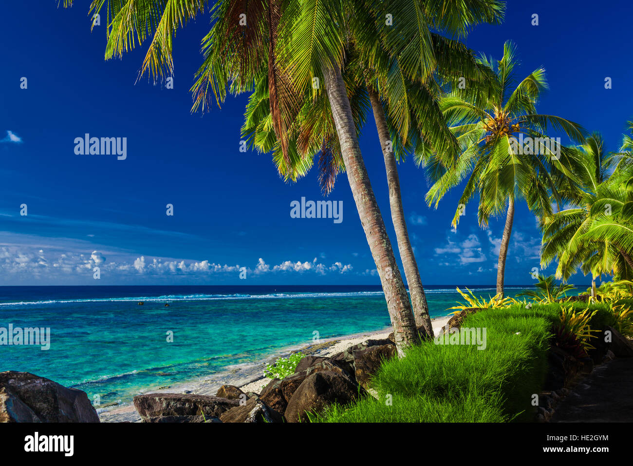 Cook islands hi-res stock photography and images - Alamy