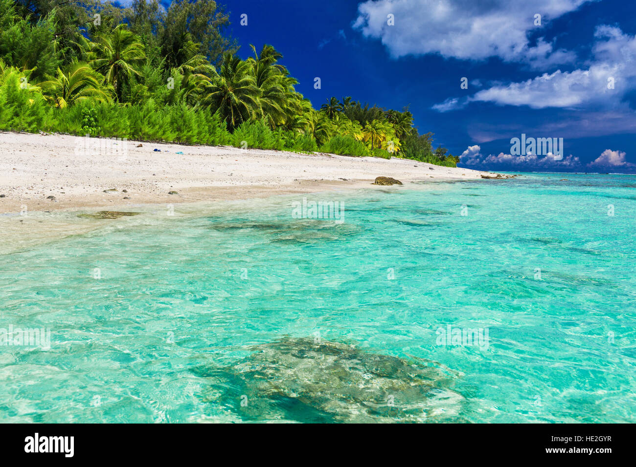 Tropical swimming beach with palm trees on west side of Rarotonga, Cook ...