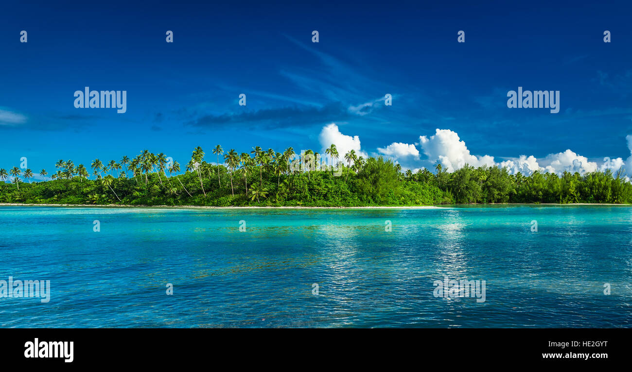 Tropical Rarotonga with palm trees and white sandy beach, Cook Islands ...