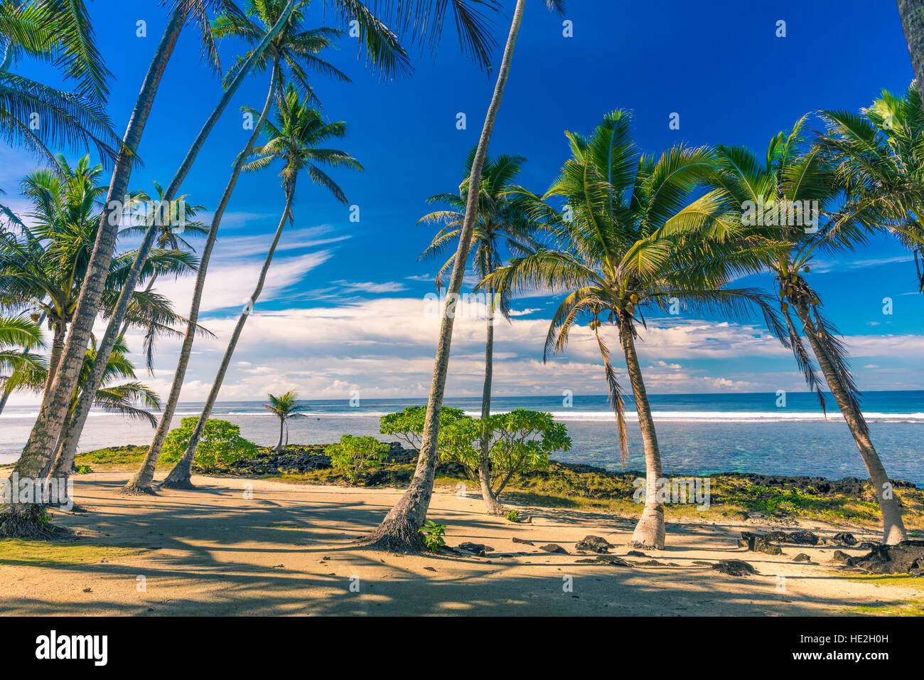 Tropical beach and ocean on Samoa Island with palm trees during late ...