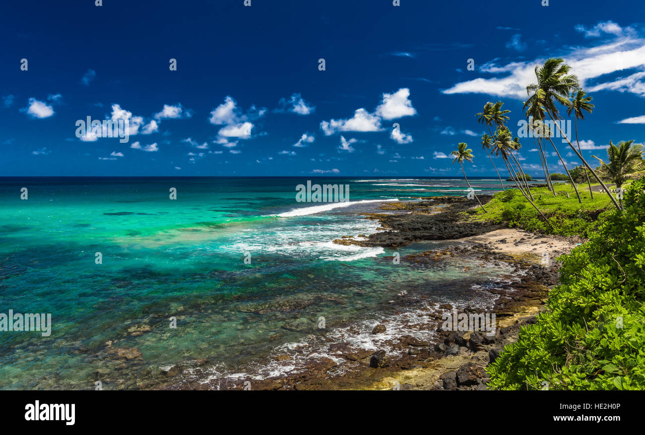 Tropical volcanic beach on Samoa Island with many palm trees, South ...
