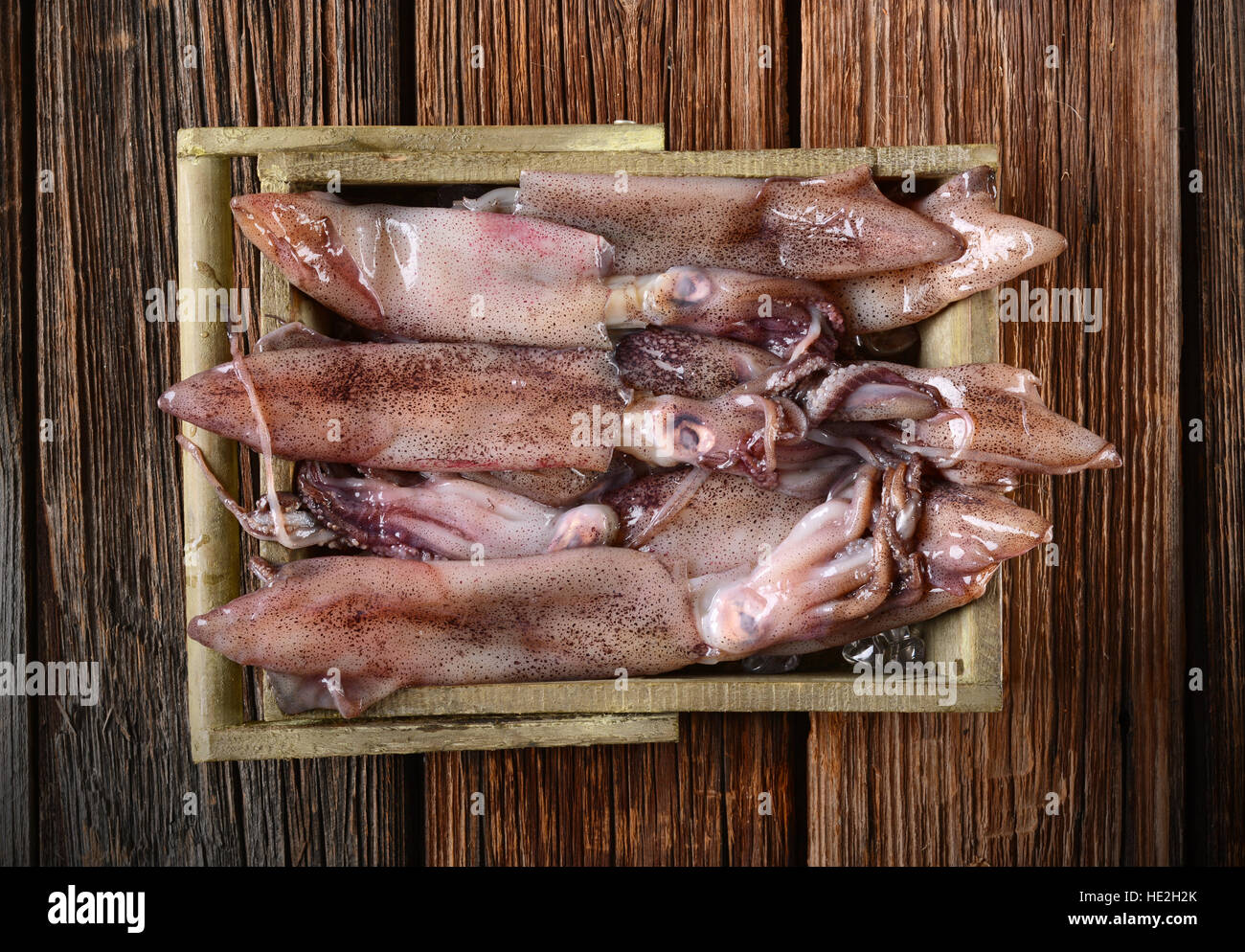 Box of cuttlefish hi-res stock photography and images - Alamy