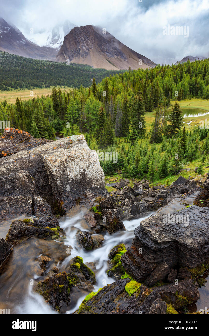 Baker creek cascades from Baker lake over a rock ledge into the Skoki ...